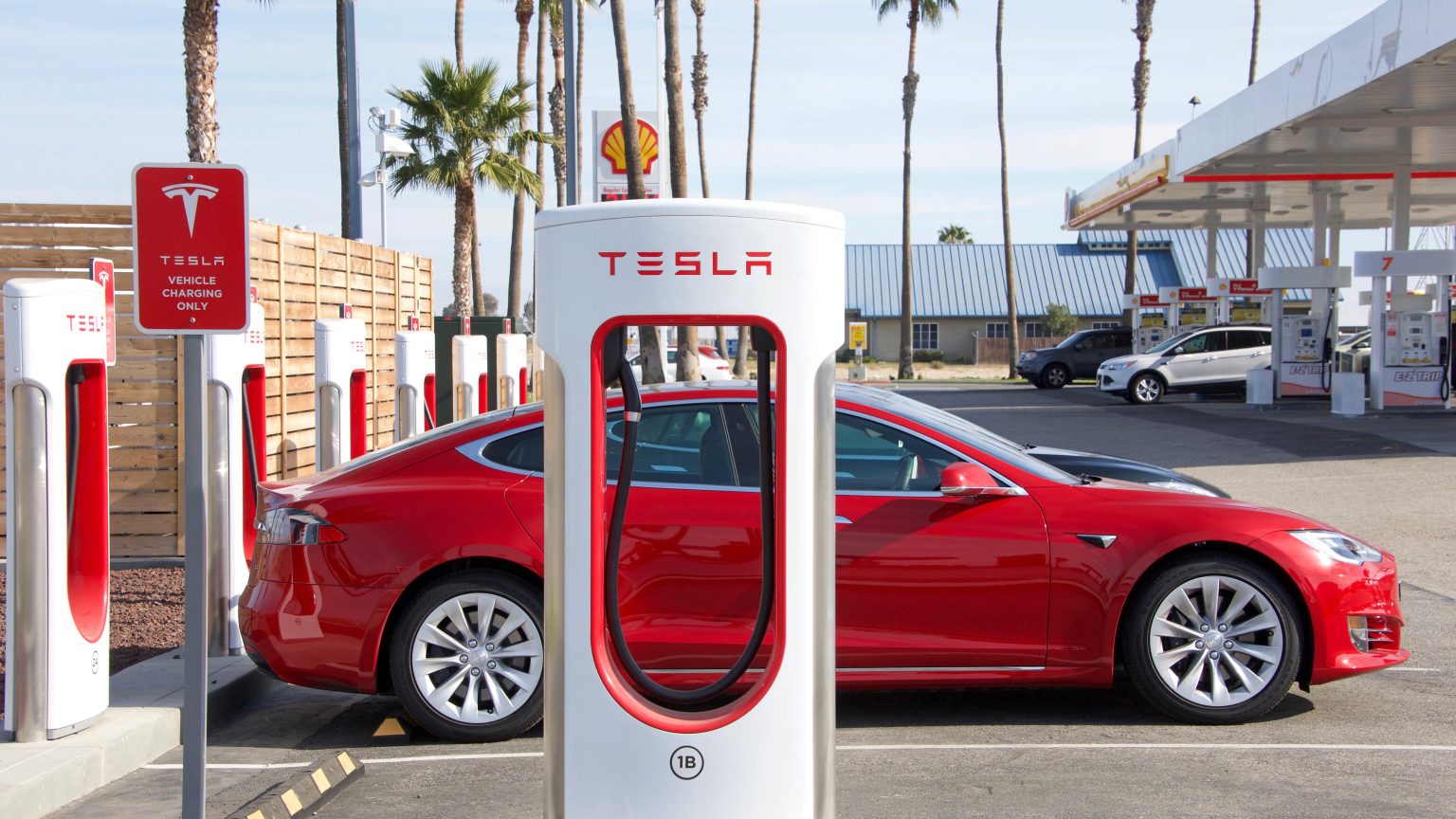 Tesla global sales see first decline in a decade | Motor Trader