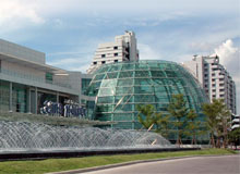 King Power downtown sales rise 47% in Q1