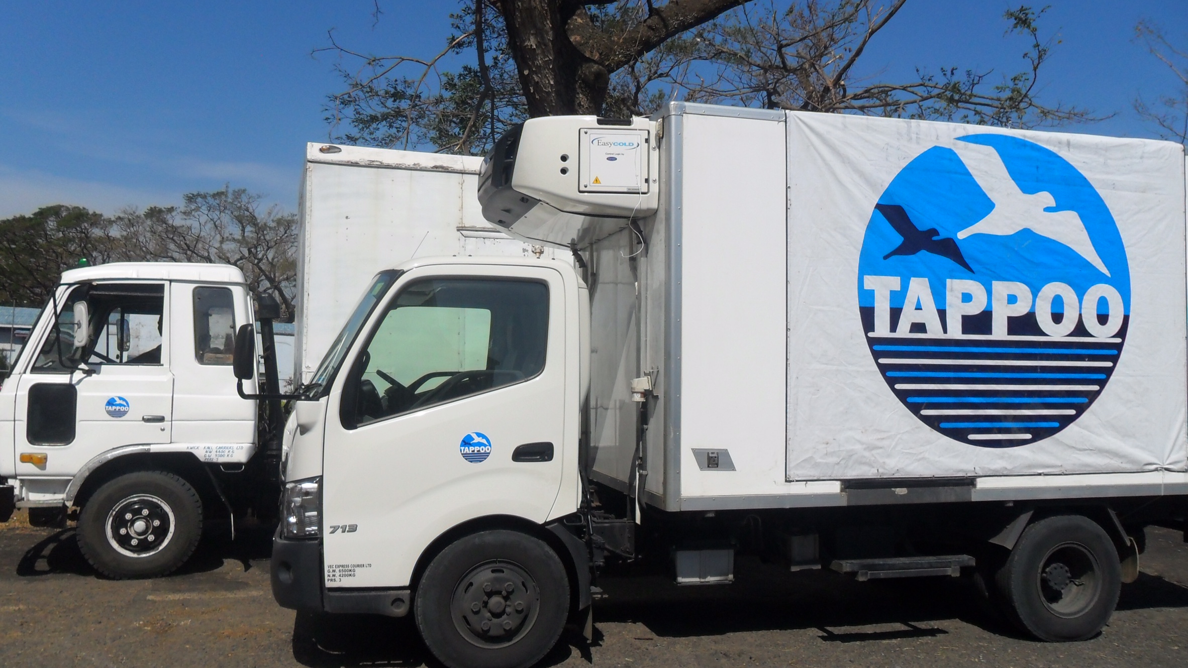 Tappoo contributes to Cyclone Winston relief efforts