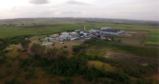 Fire at Mount Gay distillery 'destroys 150,000 gallons' of rum