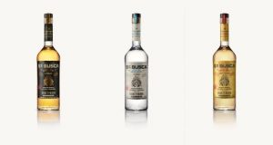 Stoli Group stages online Se Busca mezcal engagement session