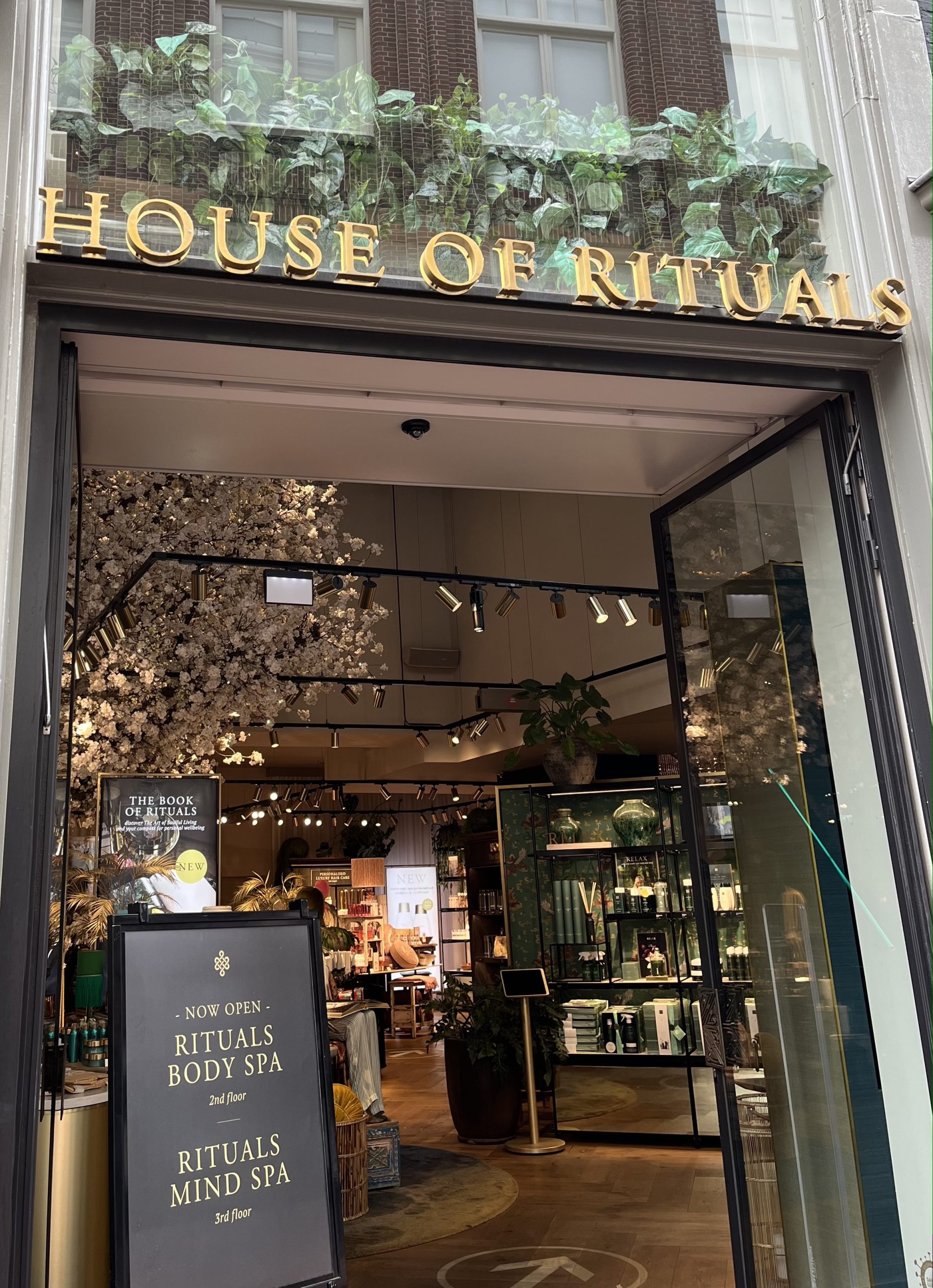 Rituals interview: The Next Chapter