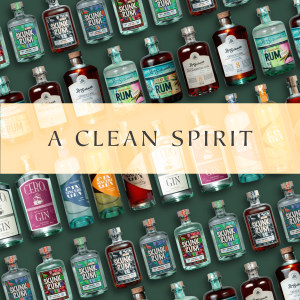 A Clean Spirit appoints Mark Winslow as CEO