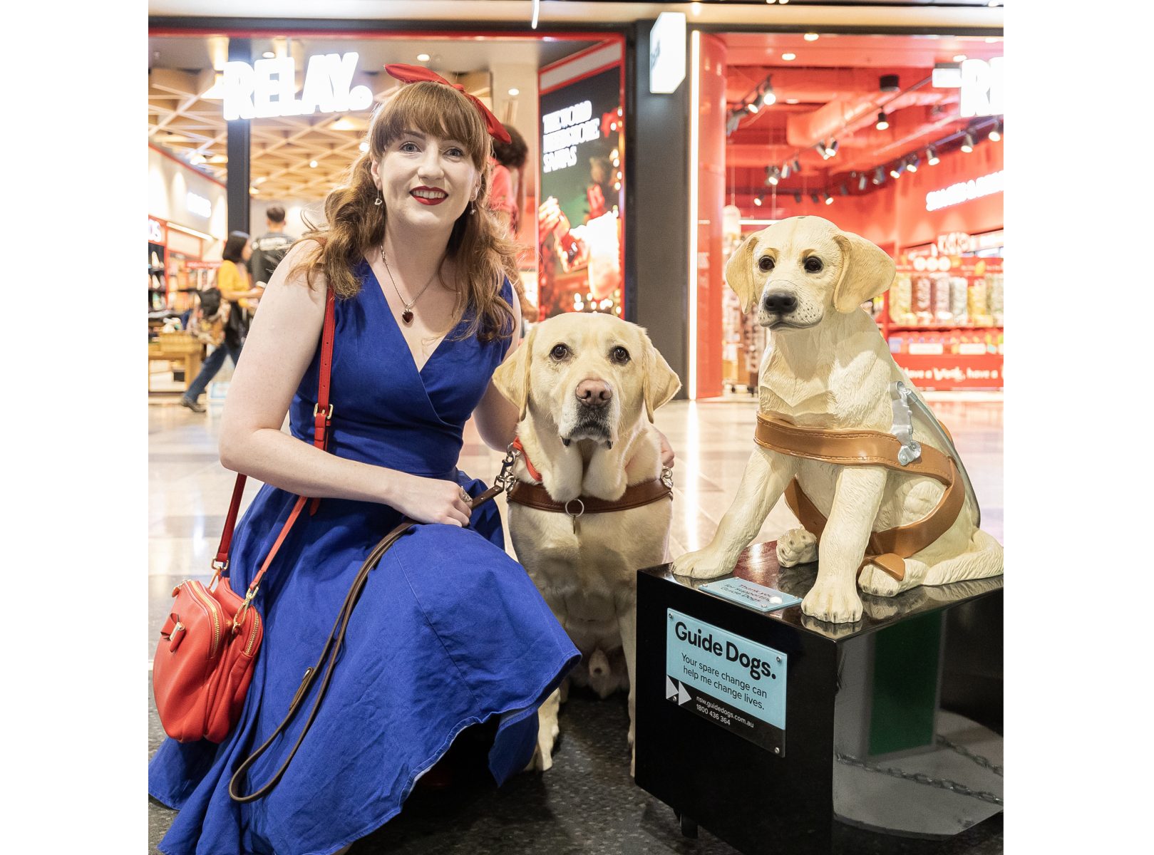 Sydney Airport launches Christmas appeal to support Guide Dogs training