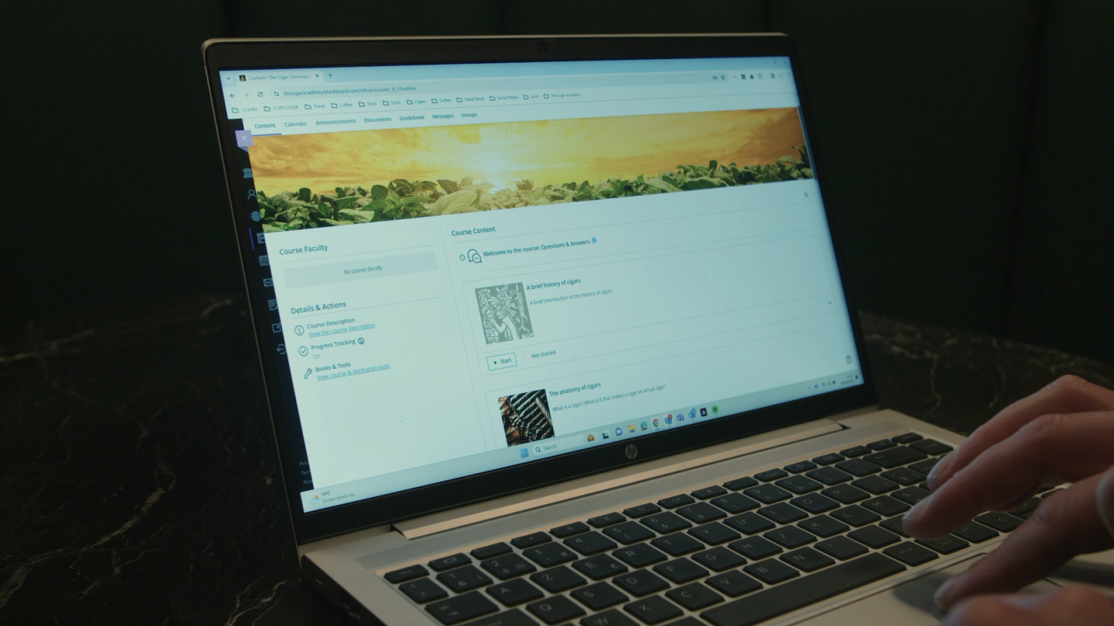 The Cigar Academy debuts educational platform