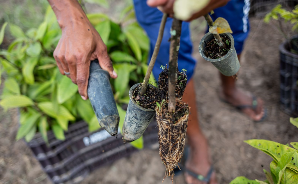 Avolta takes stock of sustainable pledges on Earth Day