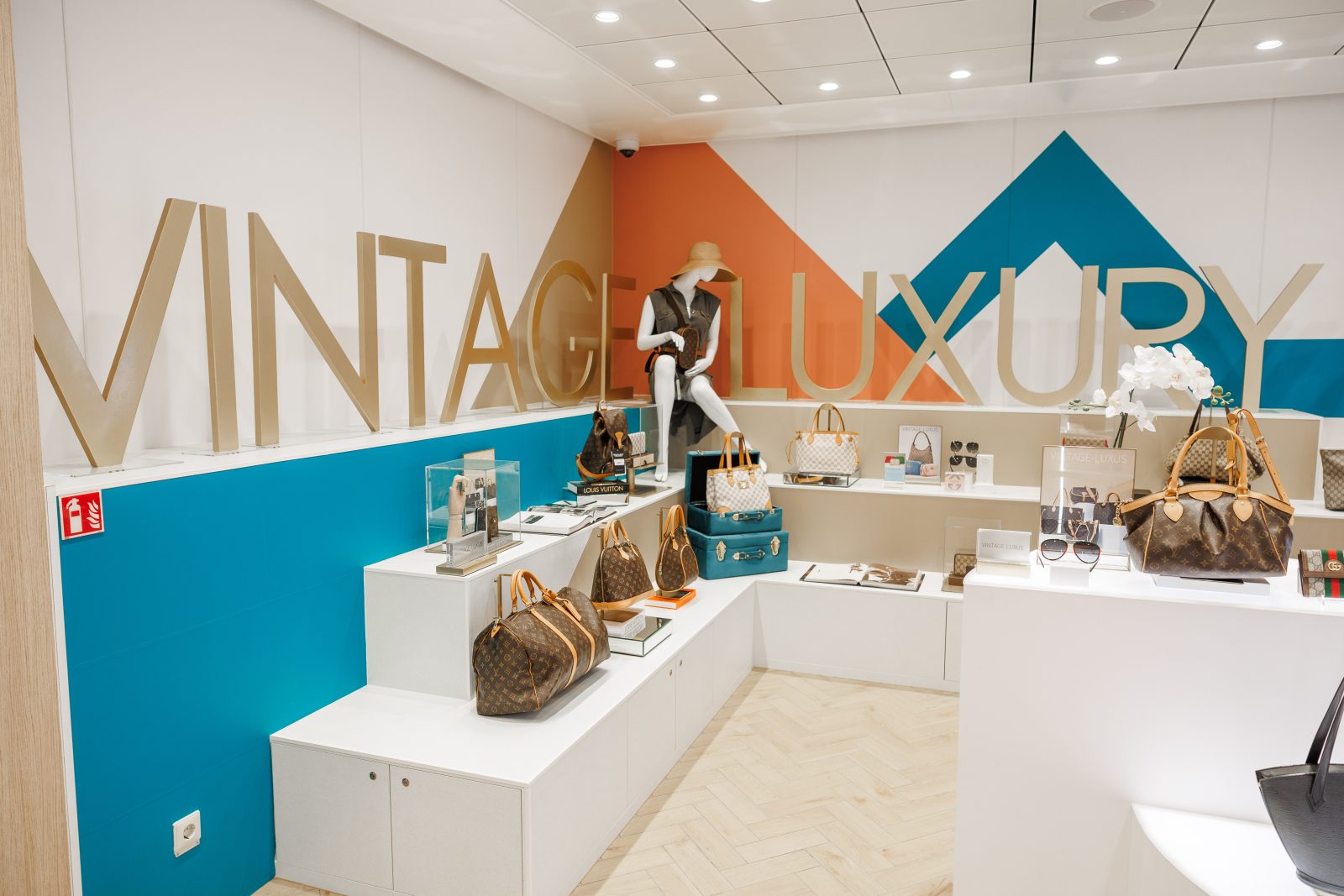 Starboard enters German market with new partner TUI Cruises
