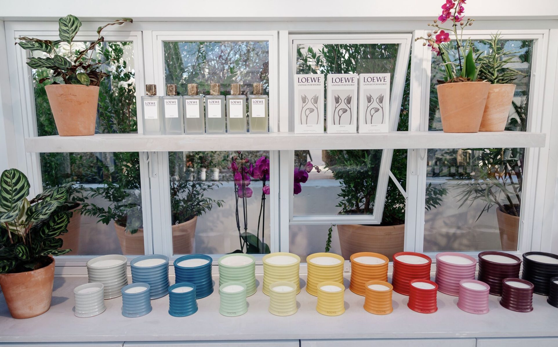 LVMH Beauty showcased maisons through storytelling at TFWA World Exhibition