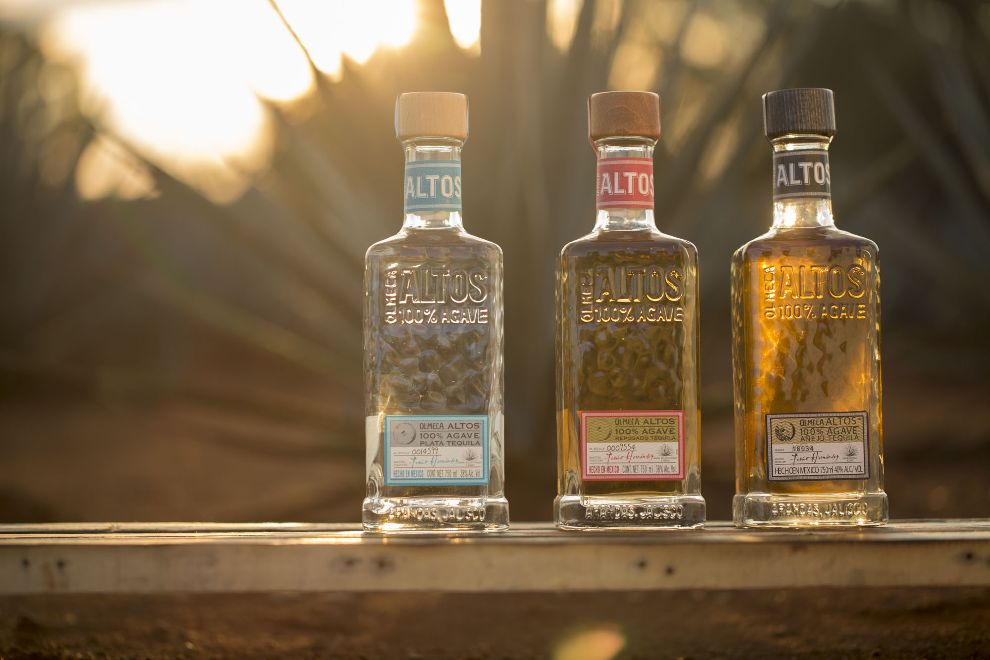 Interview: Pernod Ricard's Rae Gibson talks tequila growth