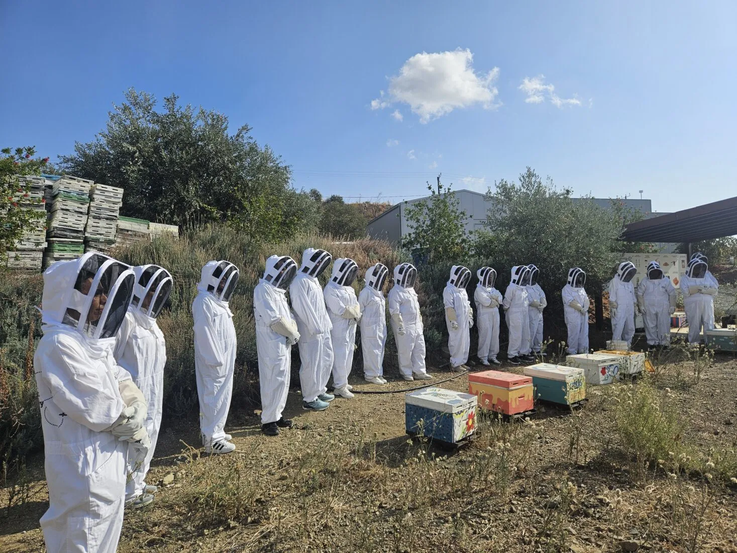 Cyprus Duty Free 'Adopt a Hive' honey launches at Larnaca and Pafos ...